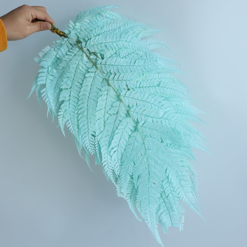 Big Fern Pastel Blue | preserved-plants