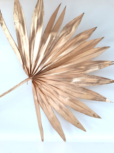 Sun Palm Medium Gold Box of 50 | preserved-plants