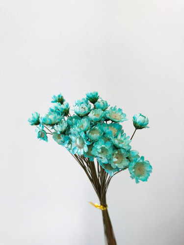 Mini Flower Cyan | preserved-plants