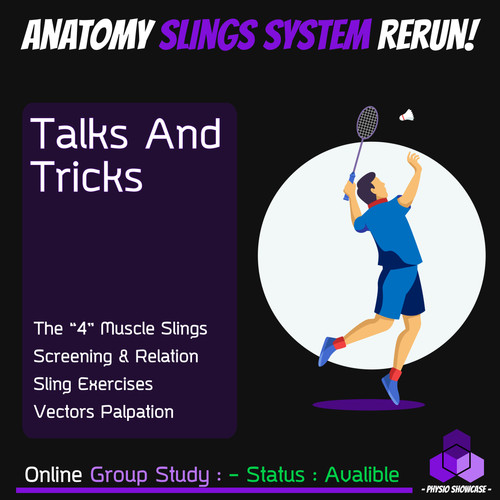 Anatomy Sling System | Physio Showcase