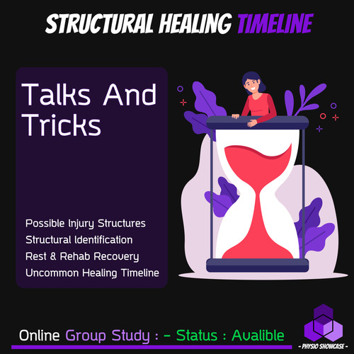Structure Healing Timeline (2022) | Physio Showcase