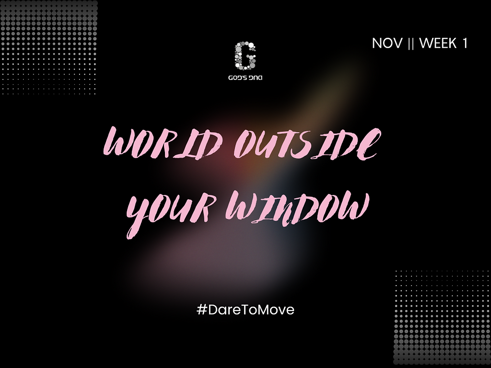 WORLD OUTSIDE YOUR WINDOW - WEEK 1, NOVEMBER 2022