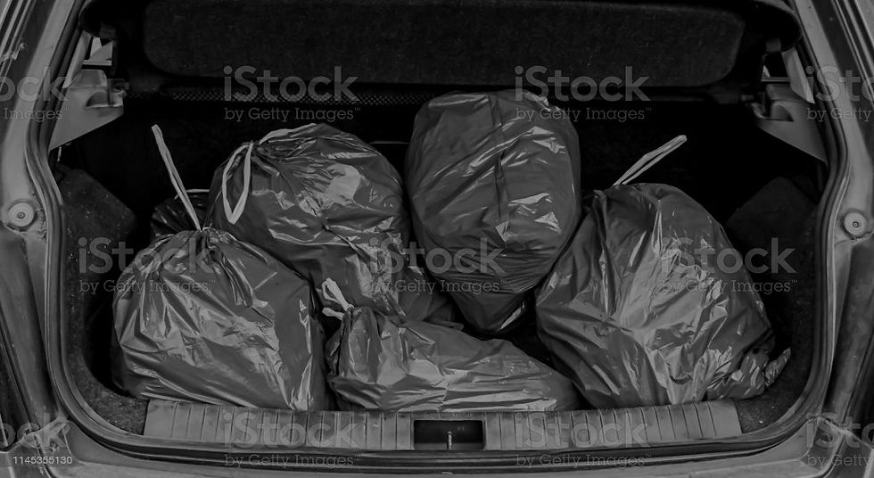 The Infamous Chop-Chop Lady, Elsa Castillo