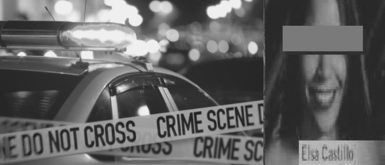 The Infamous Chop-Chop Lady, Elsa Castillo