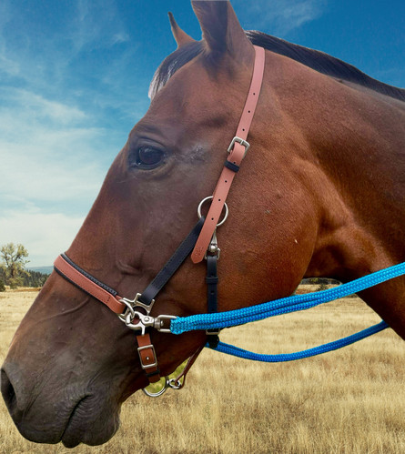 Endure Bitless Halter | MPH Saddlery