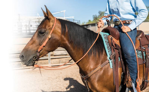 Harness Leather Romal Reins with Waterloop | The Cowboys Choice