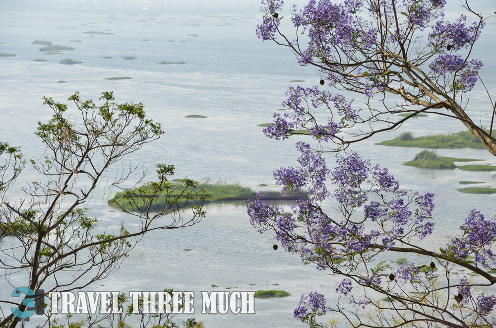 Manipur’s Loktak Lake: A Voyage Beyond Floating Islands – Travel Three Much
