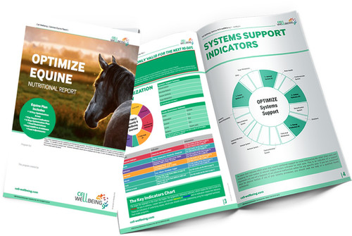 GEM - Epigenetic Hair Follicle Test + Overview report | Pinpoint Equine