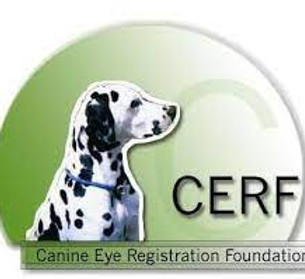 Health Testing Explained | SFC