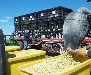Products | Bulk Seed Systems | Minnesota