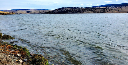 Stump Lake Fishing Reports | Chrome Catchers | kokanee