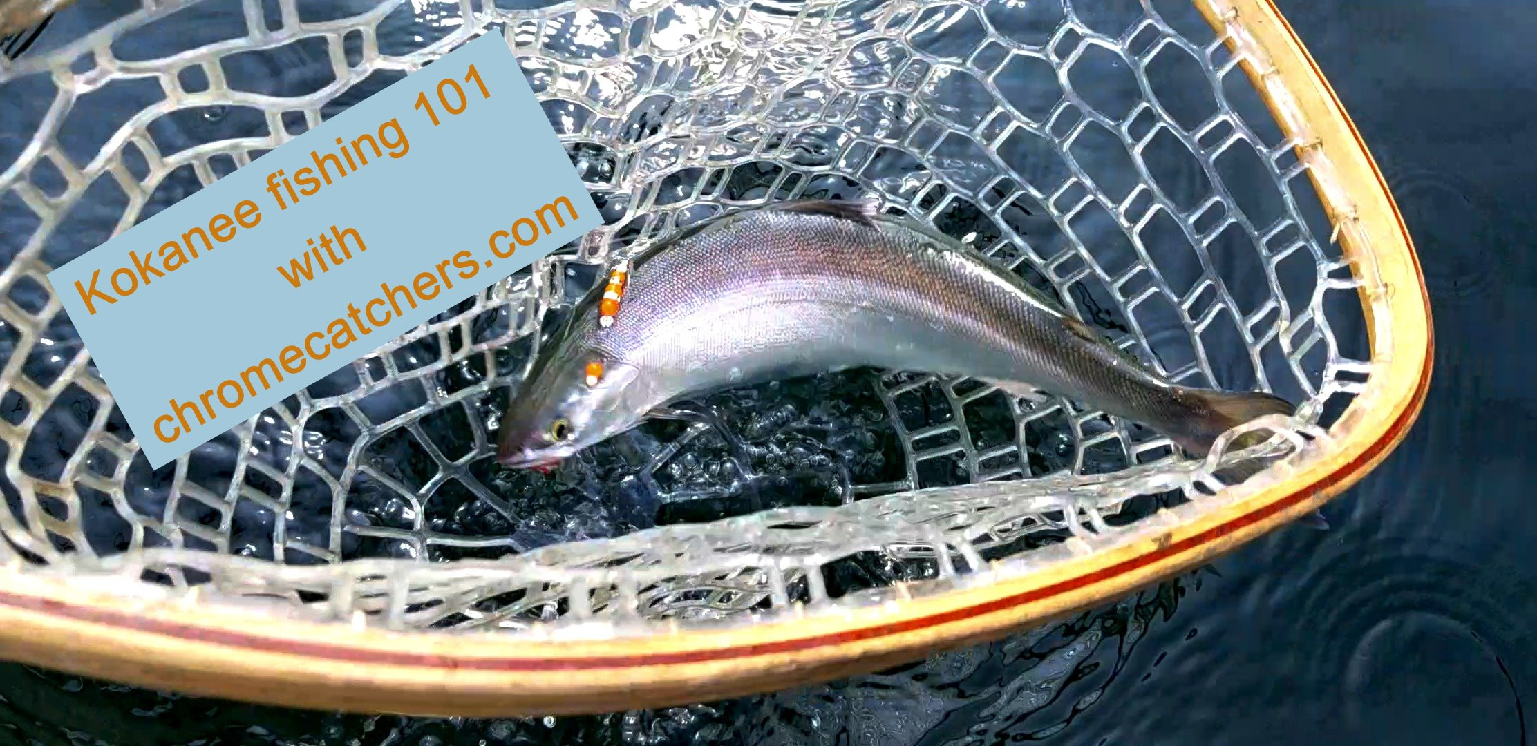 Kokanee Fishing 101 | Chrome Catchers | kamloops