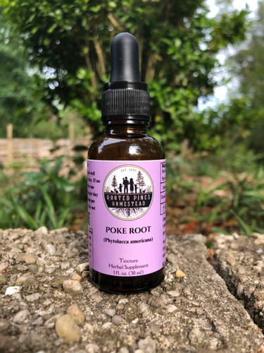 POKE ROOT TINCTURE 30ml | RootedPinesHomestead