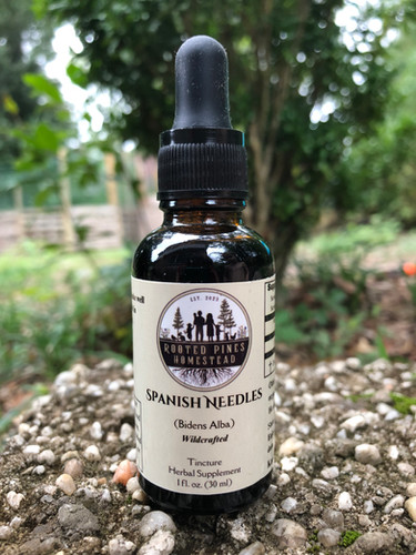 SPANISH NEEDLES TINCTURE 30ml | RootedPinesHomestead