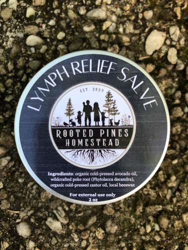 LYMPH RELIEF SALVE 2oz | RootedPinesHomestead