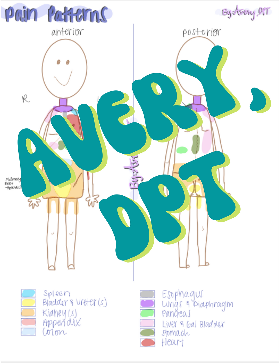 Visceral Pain & Quadrants | AveryDPT