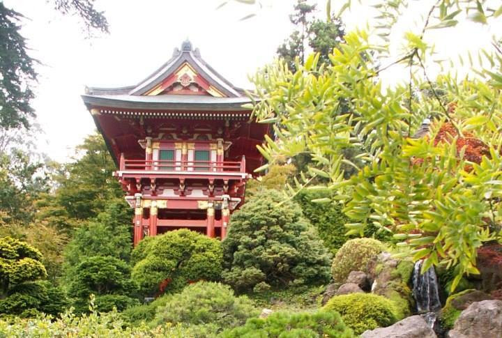 דיקור סיני | רונית עומר - רפואה סינית במודיעין | מודיעין מכבים רעות