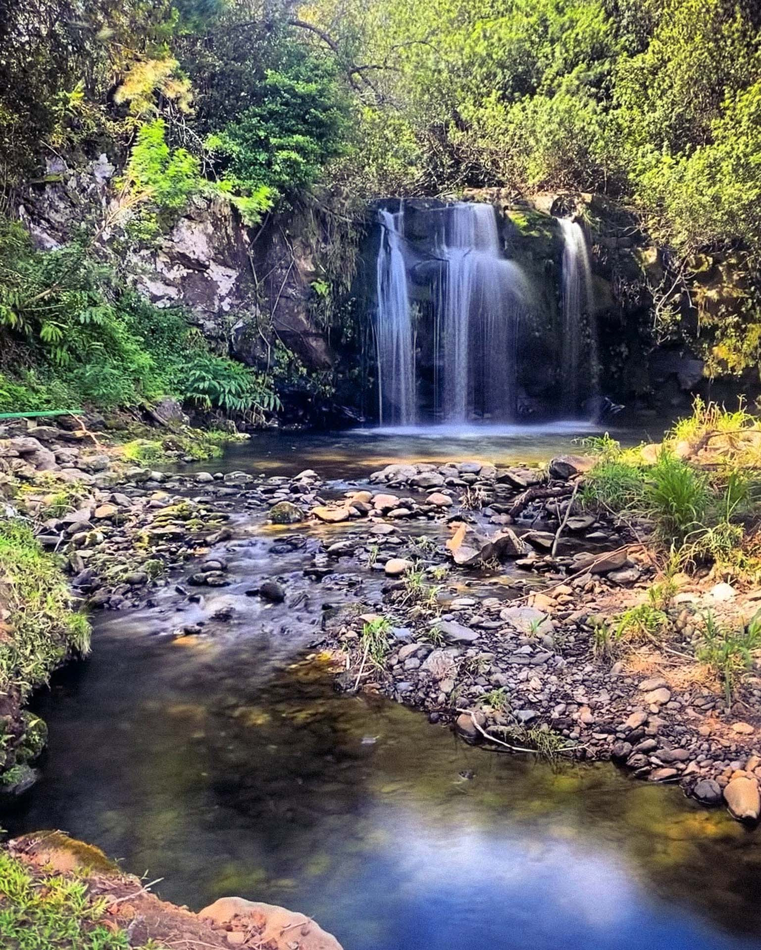 HIKE TO PRIVATE WATERFALLS IN KOHALA | Folio Travel