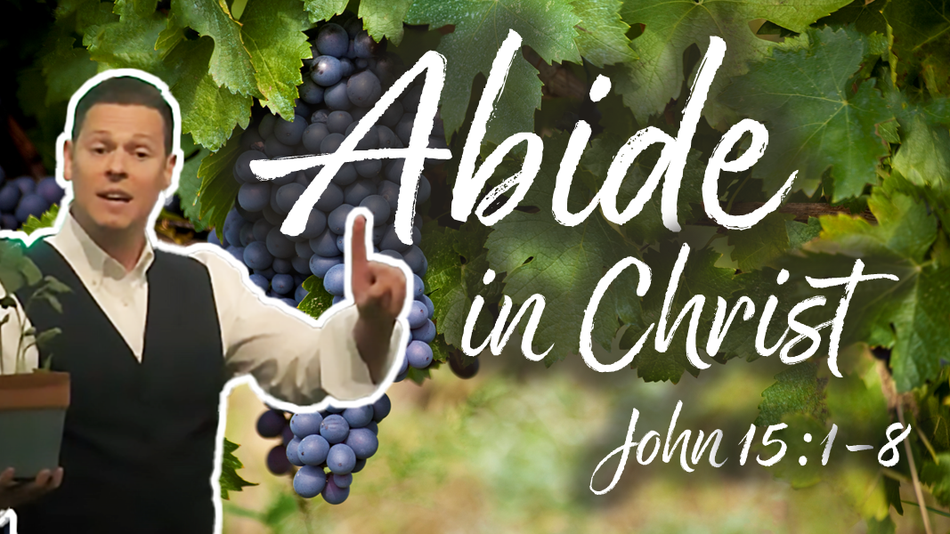 🌱Abide in Christ