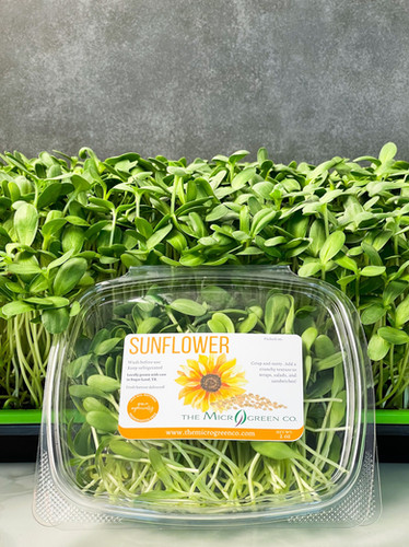 Sunflower | The Microgreen Co.