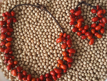 Collar de semillas de frijol colorin | bisuteria-artesanal