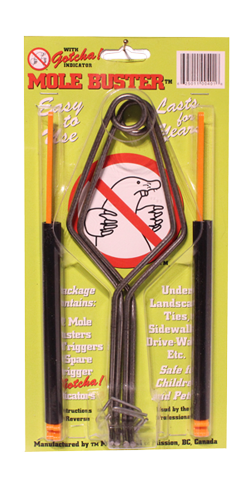 Mole Buster | Mysite