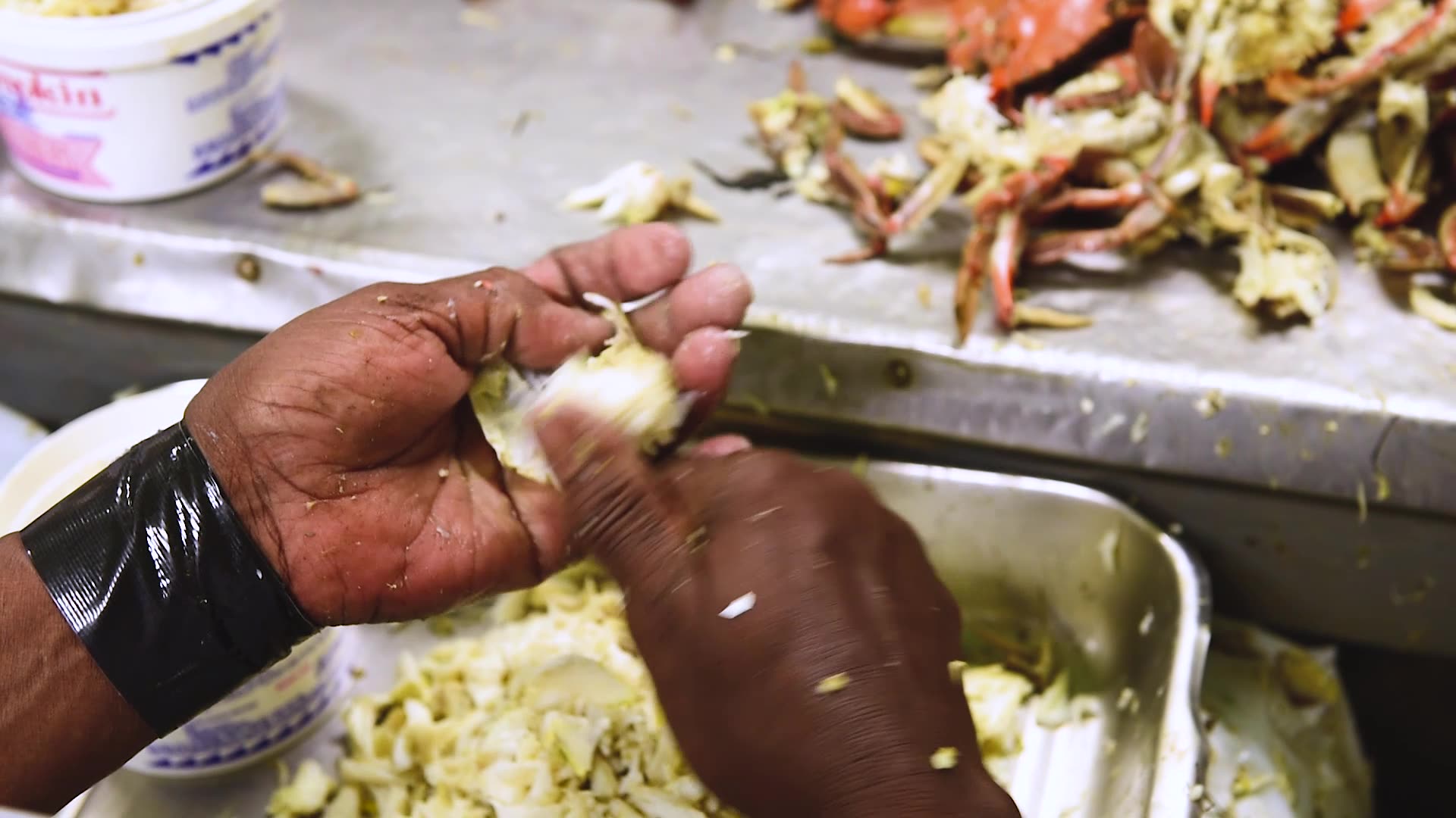 TUTORIAL VIDEO | Mysite