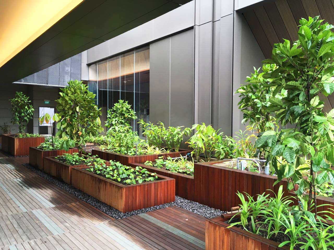 FOODSCAPE | ediblegardencity