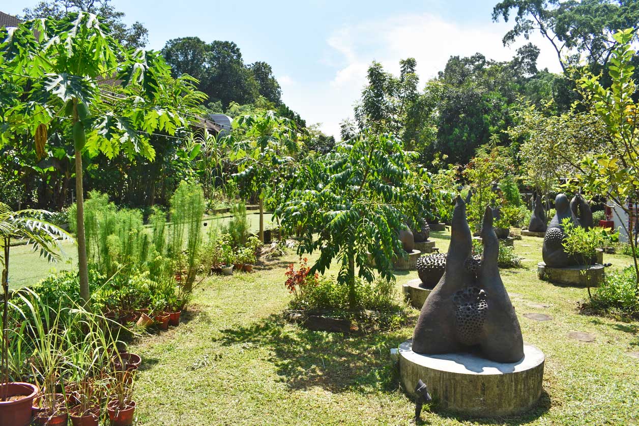 FOODSCAPE | ediblegardencity