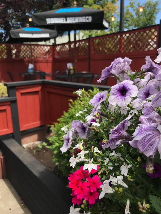 HOME | The Lower Tavern