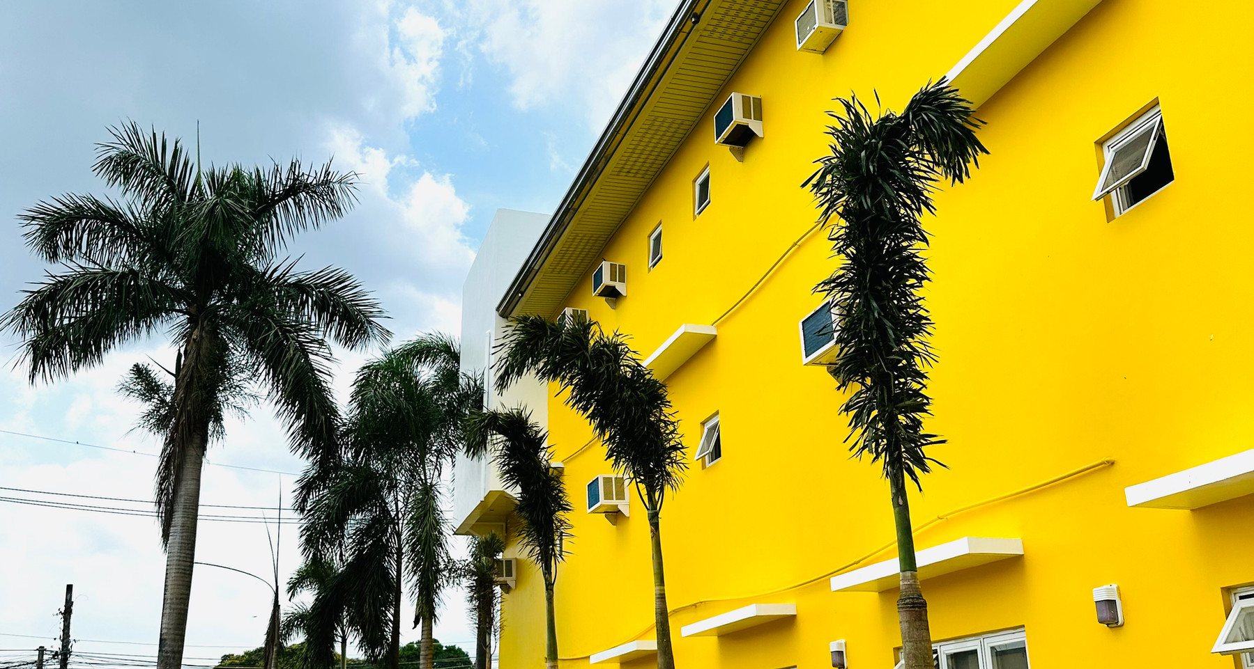 LIBJO | Dreamingforestph