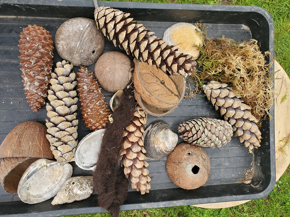 Sensory rich learning outdoors - children with SEND