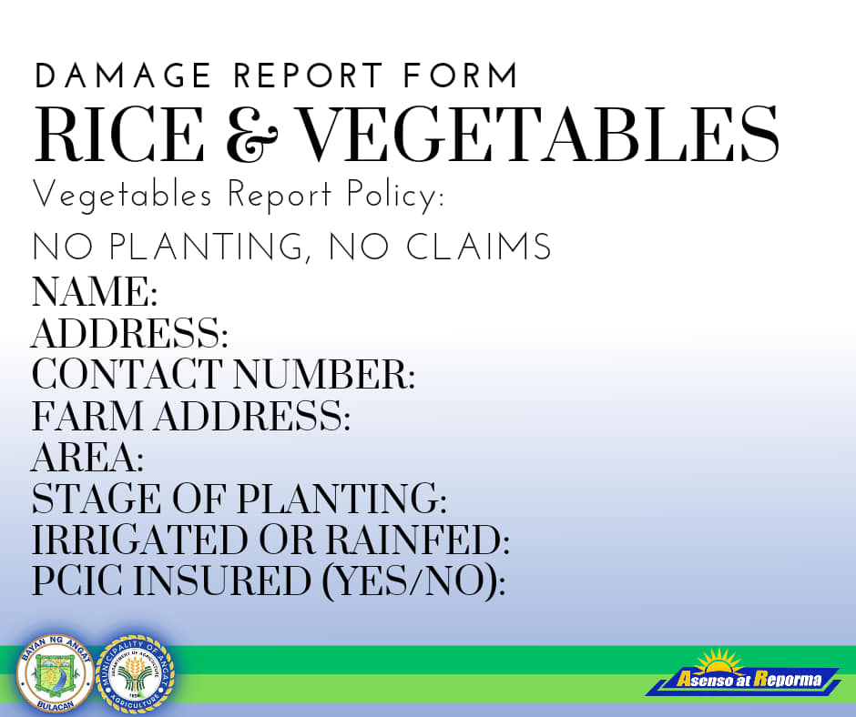 Damage Report Mula sa RICE, VEGETABLES AT LIVESTOCK