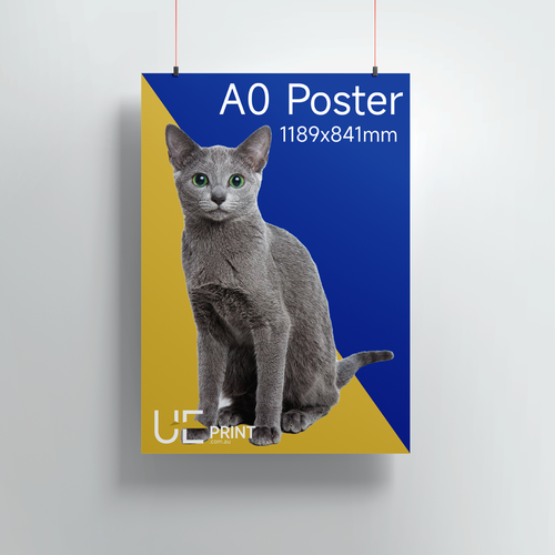 A0 A1 A2 Posters (Matt PP poster) | UE Print