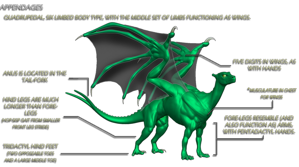 Dragons | oathresources