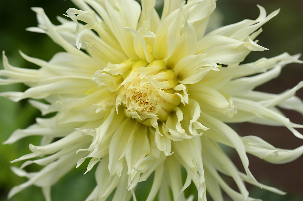 Daily Scripture Reflection & Prayer: June 17, 2025