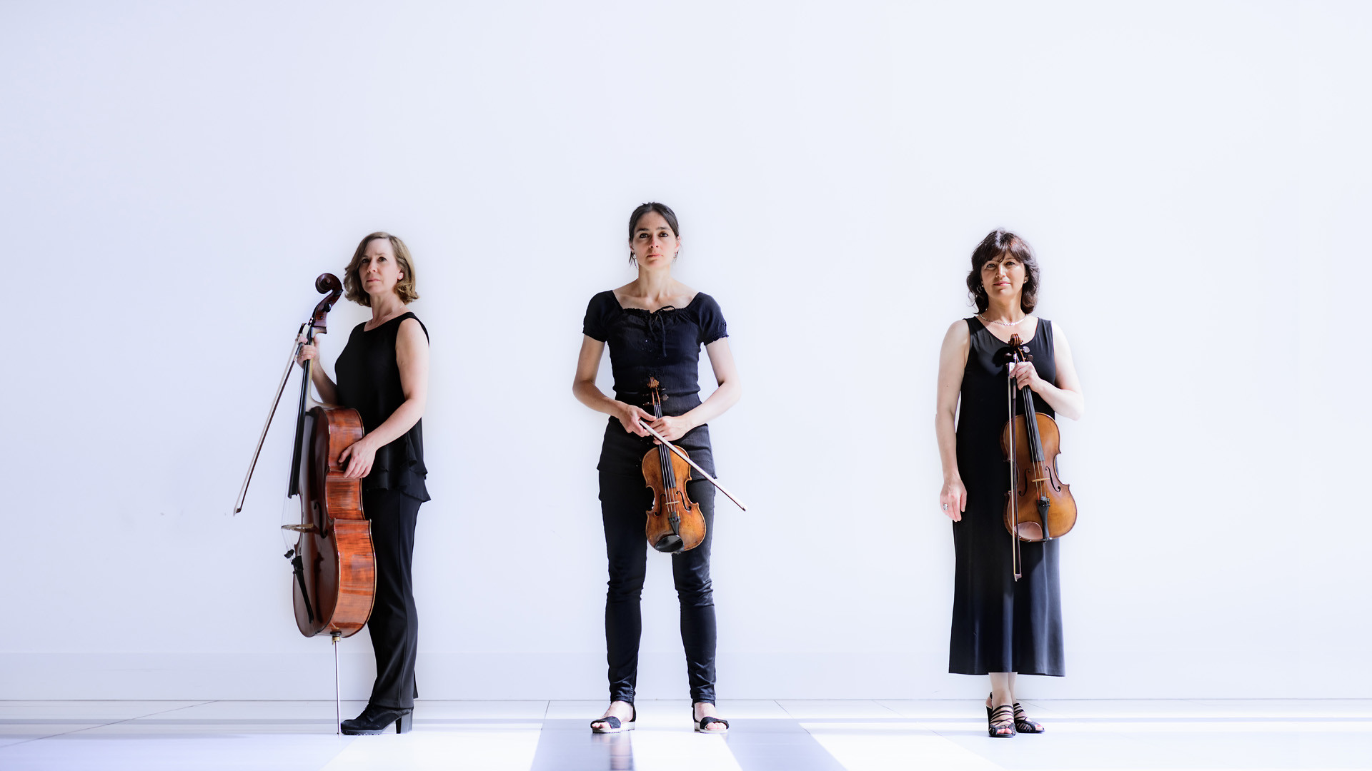 The Hague String Trio home page