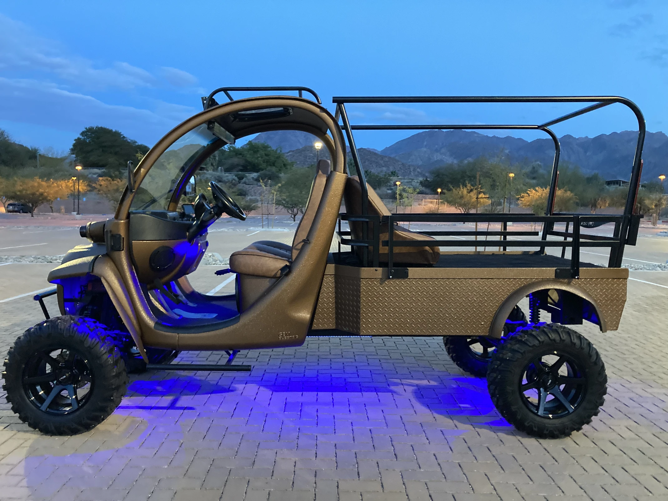2013 POLARIS GEM ELXD MONSTER SAFARI TRUCK | EV Designs
