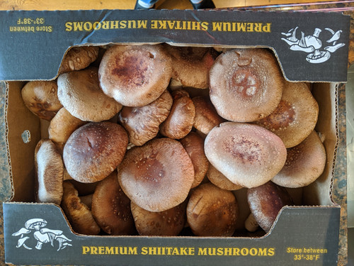 3 lb Large Shiitake | The Woodlands