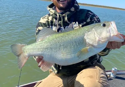 Area Info and Bike Trails | Bike Rend Lake