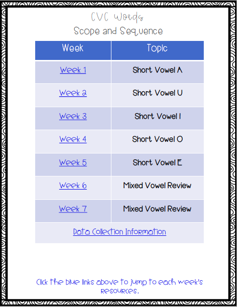 CVC Words Intervention Binder