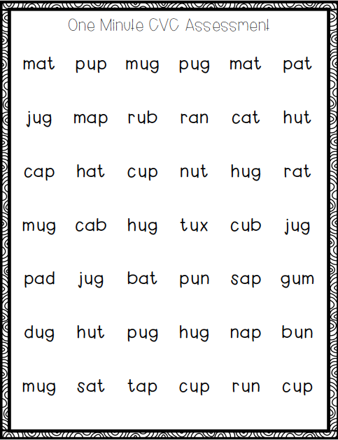 CVC Words Intervention Binder