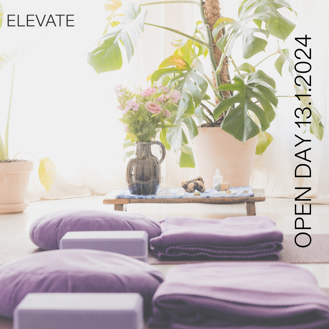 OPEN DAY ELEVATE STUDIO | Elevate Studio