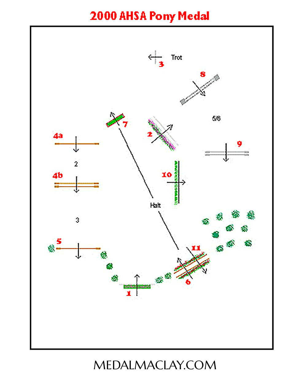 MedalMaclay.com - Equitation Courses