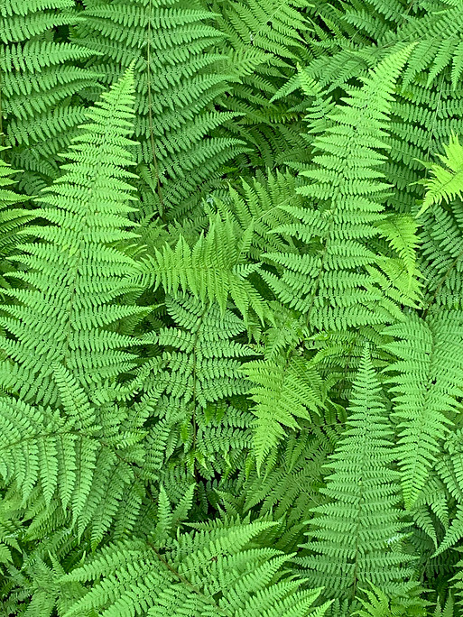 Writer | Gilad Jaffe