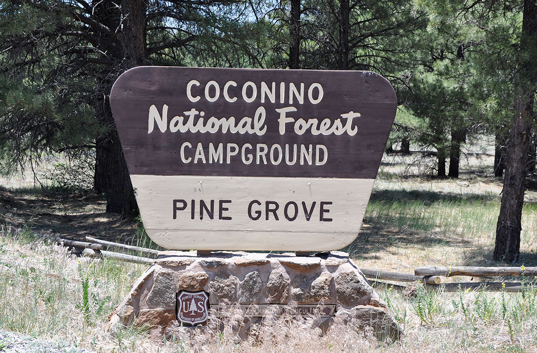 Coconino National Forest | Sustainable Auto