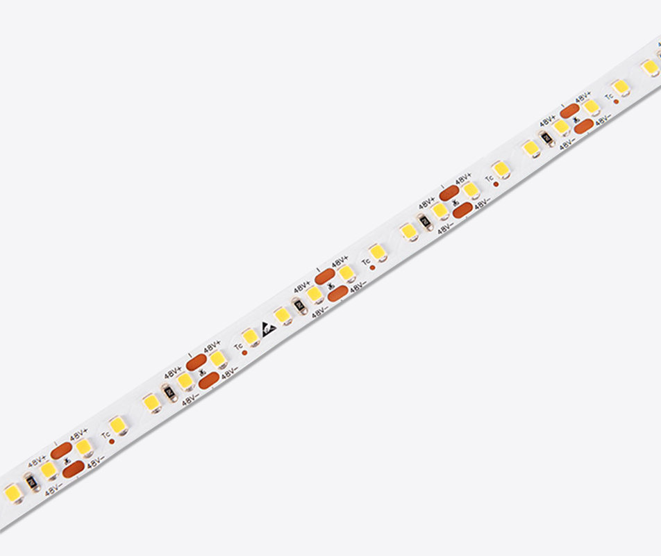 LED Strips | D8120-48V-10mm 8.8W/1M | Flick On Lighting Solutions