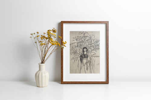 Hemlock original drawing | ameliapasser.com