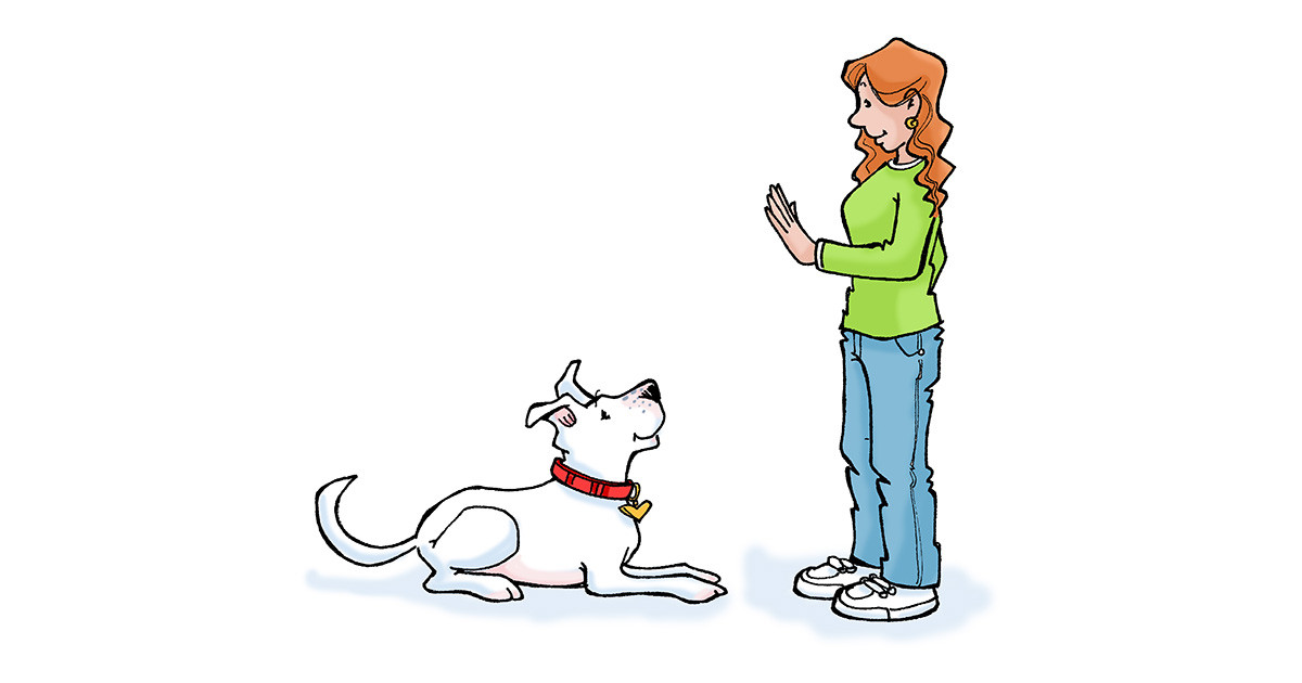 Stay | The Acorn Project