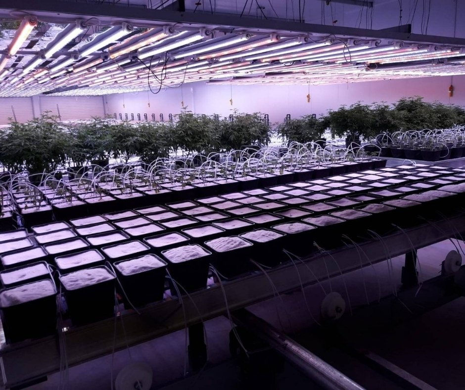 Smart Full Spectrum Tube Kit | BIOLED